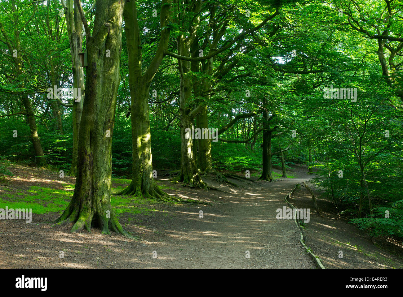 Wyke High Resolution Stock Photography and Images - Alamy