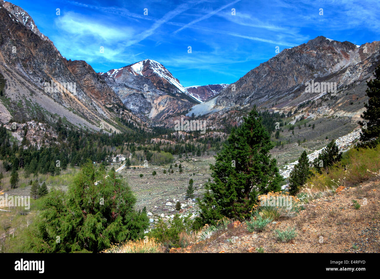 National park at the tioga pass hi-res stock photography and images - Alamy