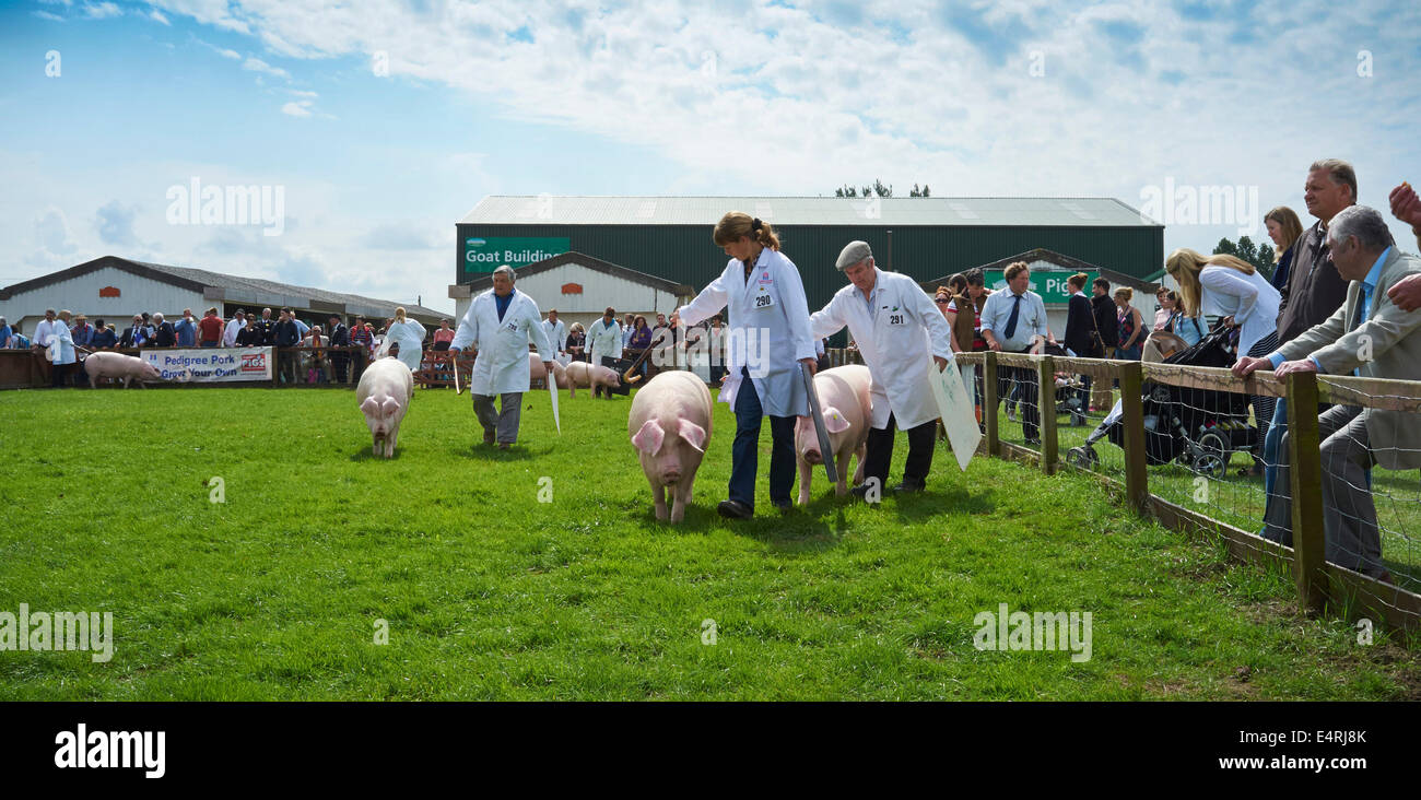 Yorkshire agricultural show hi-res stock photography and images - Alamy