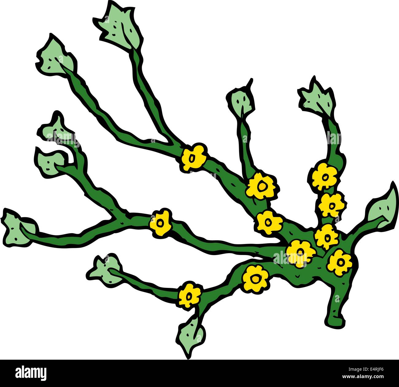 cartoon flowering branch Stock Vector Image & Art - Alamy