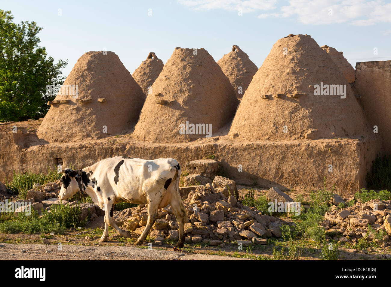 beehive houses, Harran, Turkey Stock Photo - Alamy