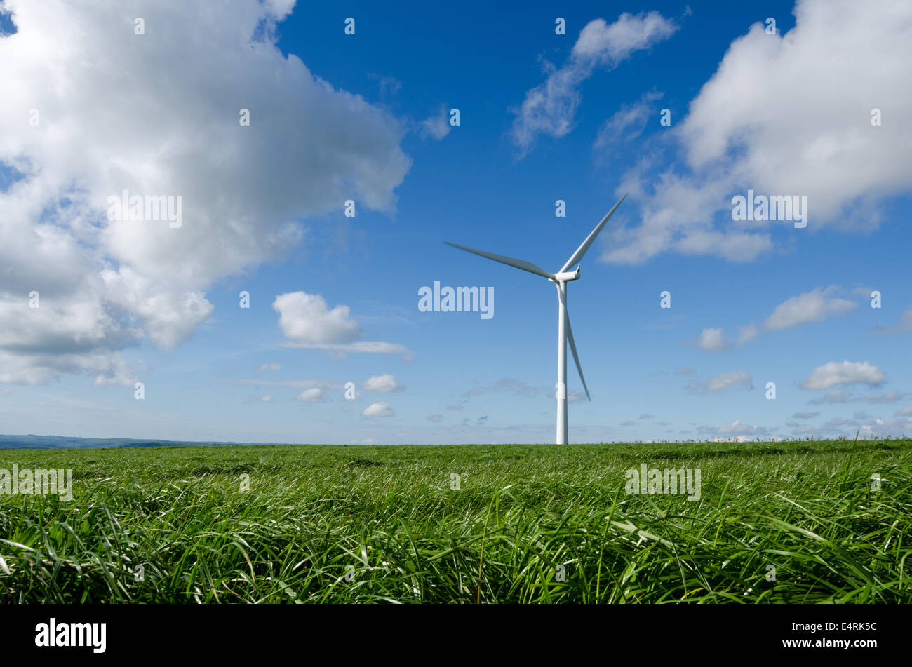 Wind turbine against blue sky in green grass in West Wales Stock Photo ...
