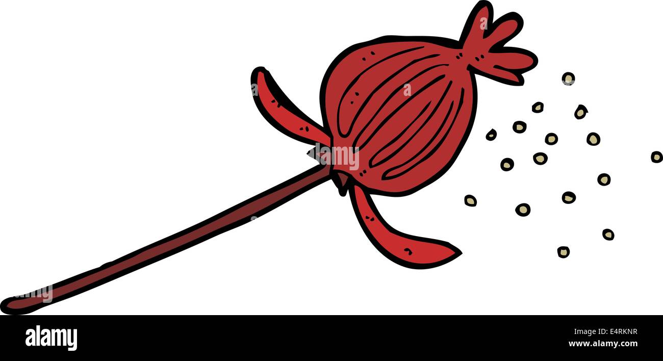 cartoon dried poppy flower Stock Vector Image & Art - Alamy