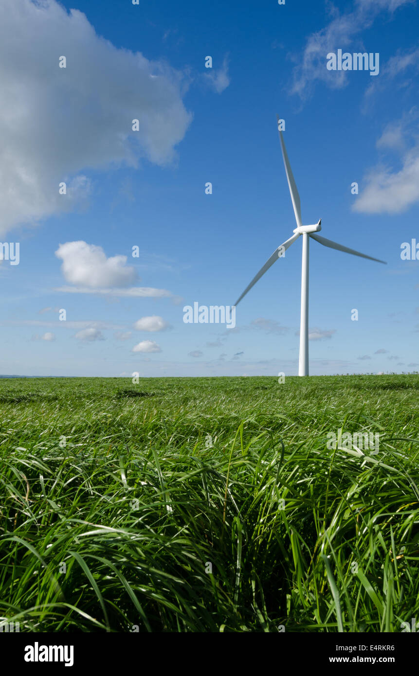 Alltwalis wind farm hi-res stock photography and images - Alamy
