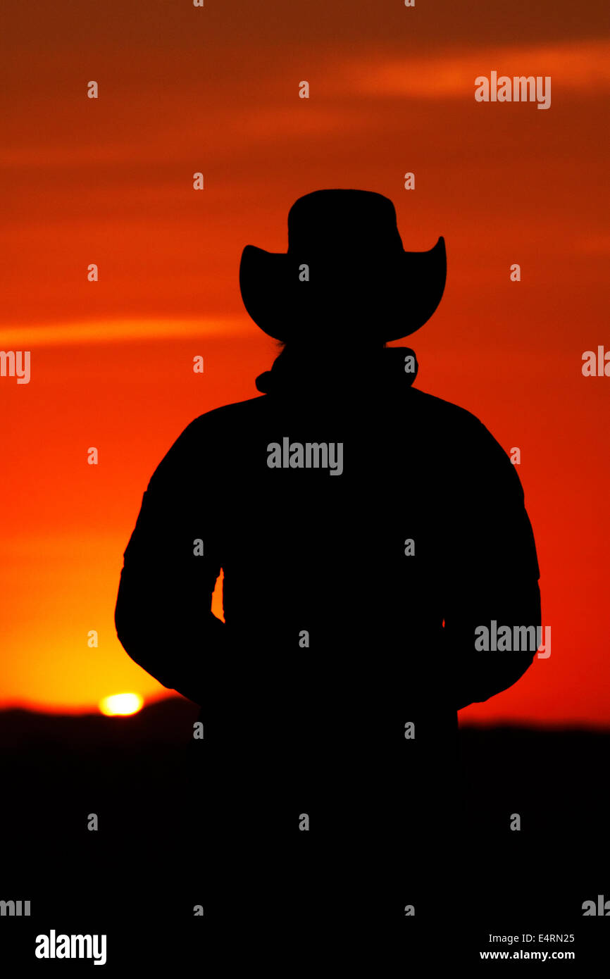 Bedende Cowboy Og Hest Silhuett Silhouette Of Cowboy Hi Res Stock
