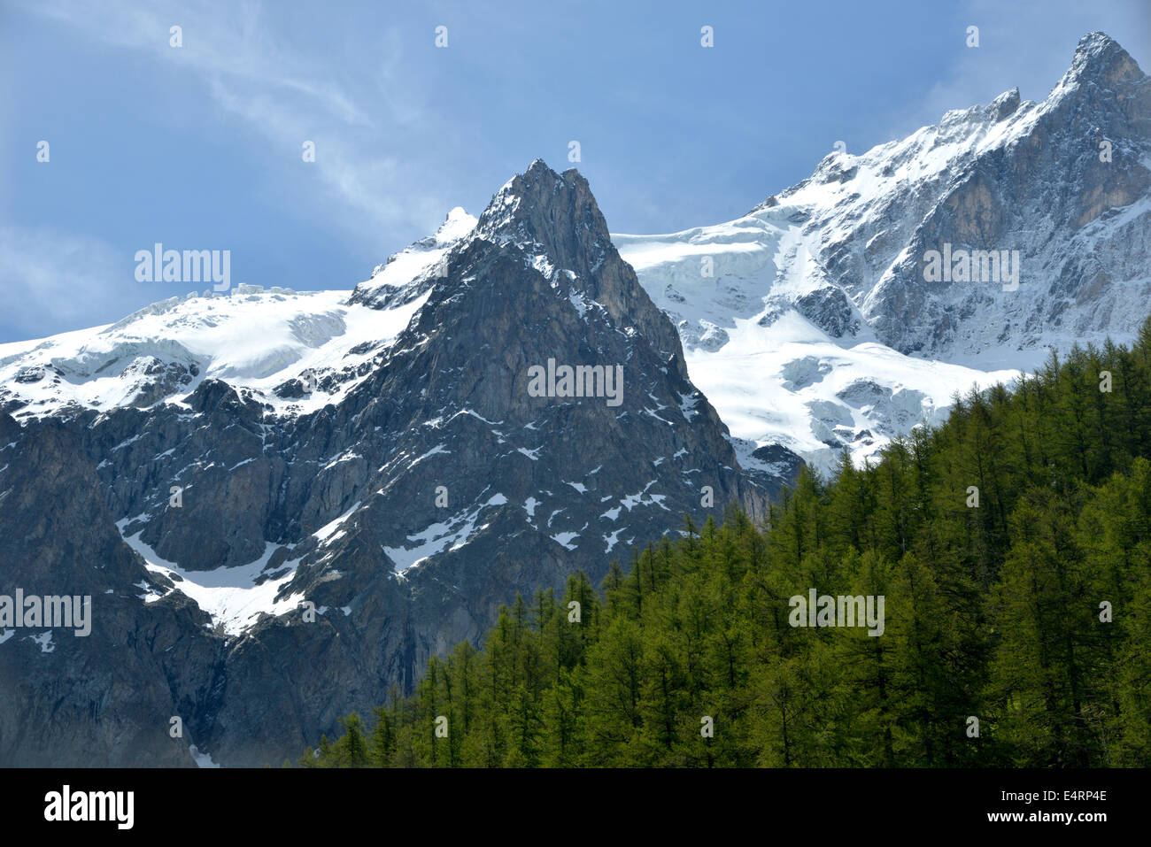 Tall mountain green forest hi-res stock photography and images - Alamy
