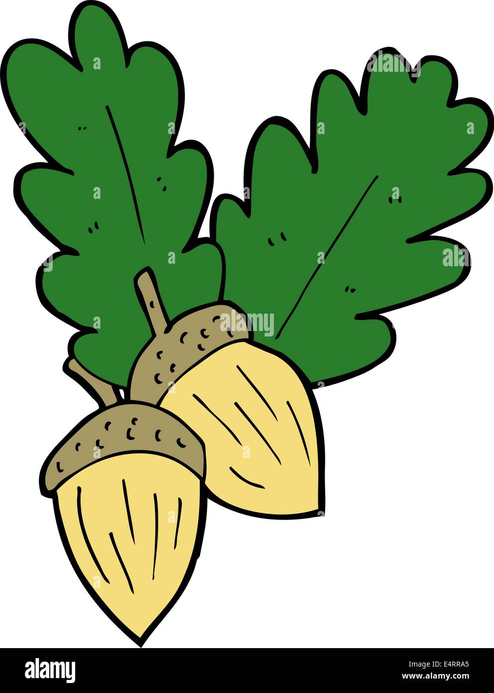 Cartoon acorns hi-res stock photography and images - Alamy