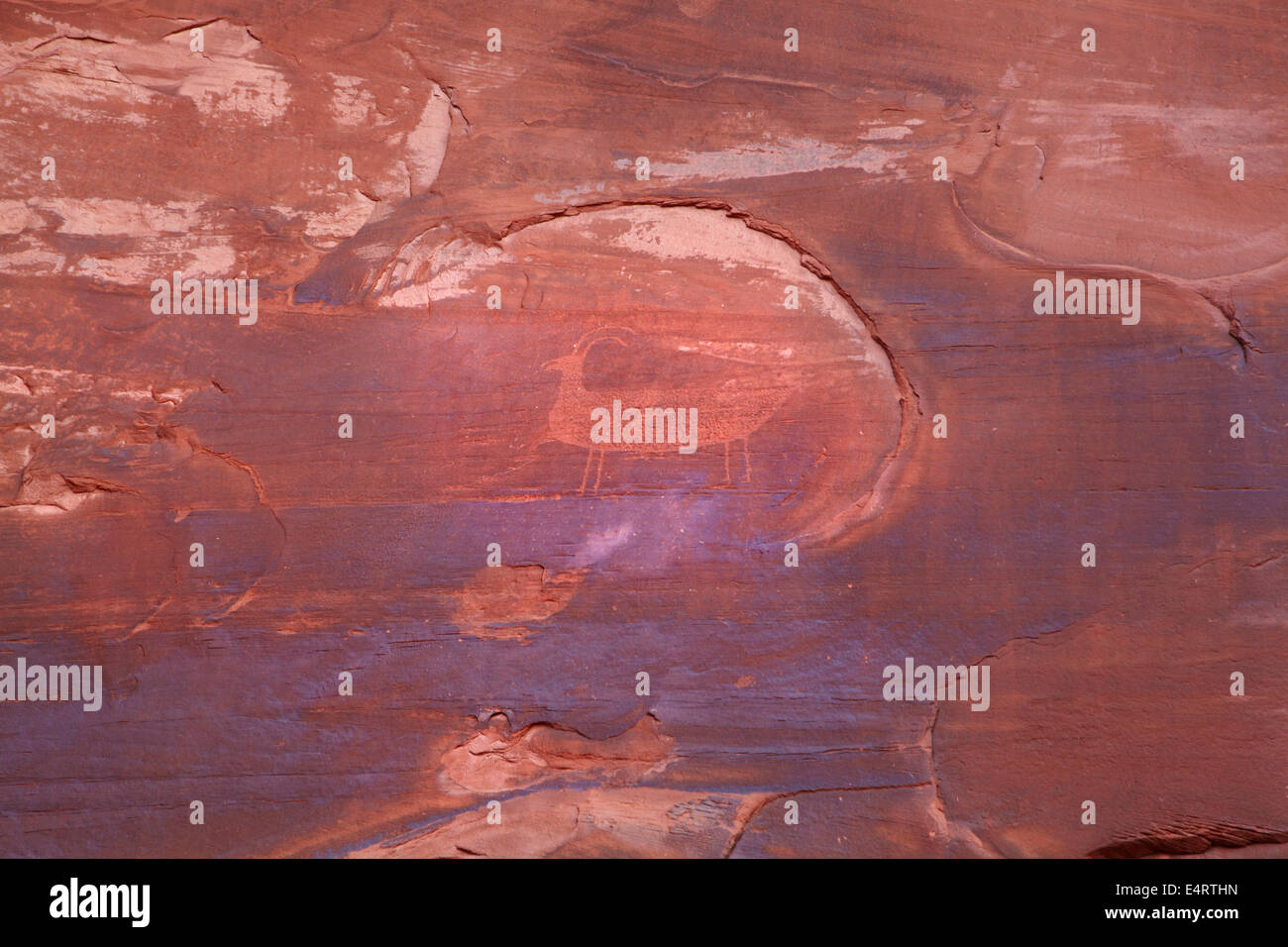 Ancient Anasazi petroglyphs, Mystery Valley, Monument Valley, Navajo ...
