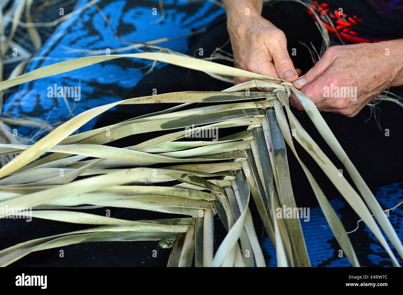 Traditional Maori Flax High Resolution Stock Photography and Images - Alamy