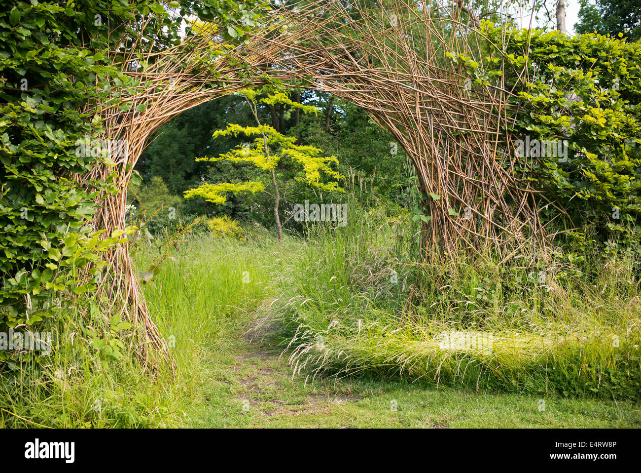 Willow Archway dividing a hedge over garden path at RHS Harlow Carr ...