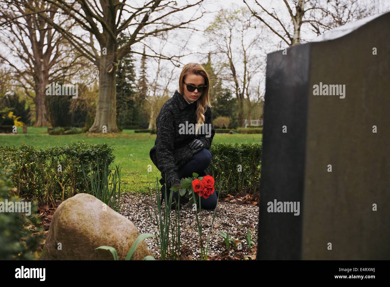 Young female grieving at cemetery. Young lady placing roses on the ...
