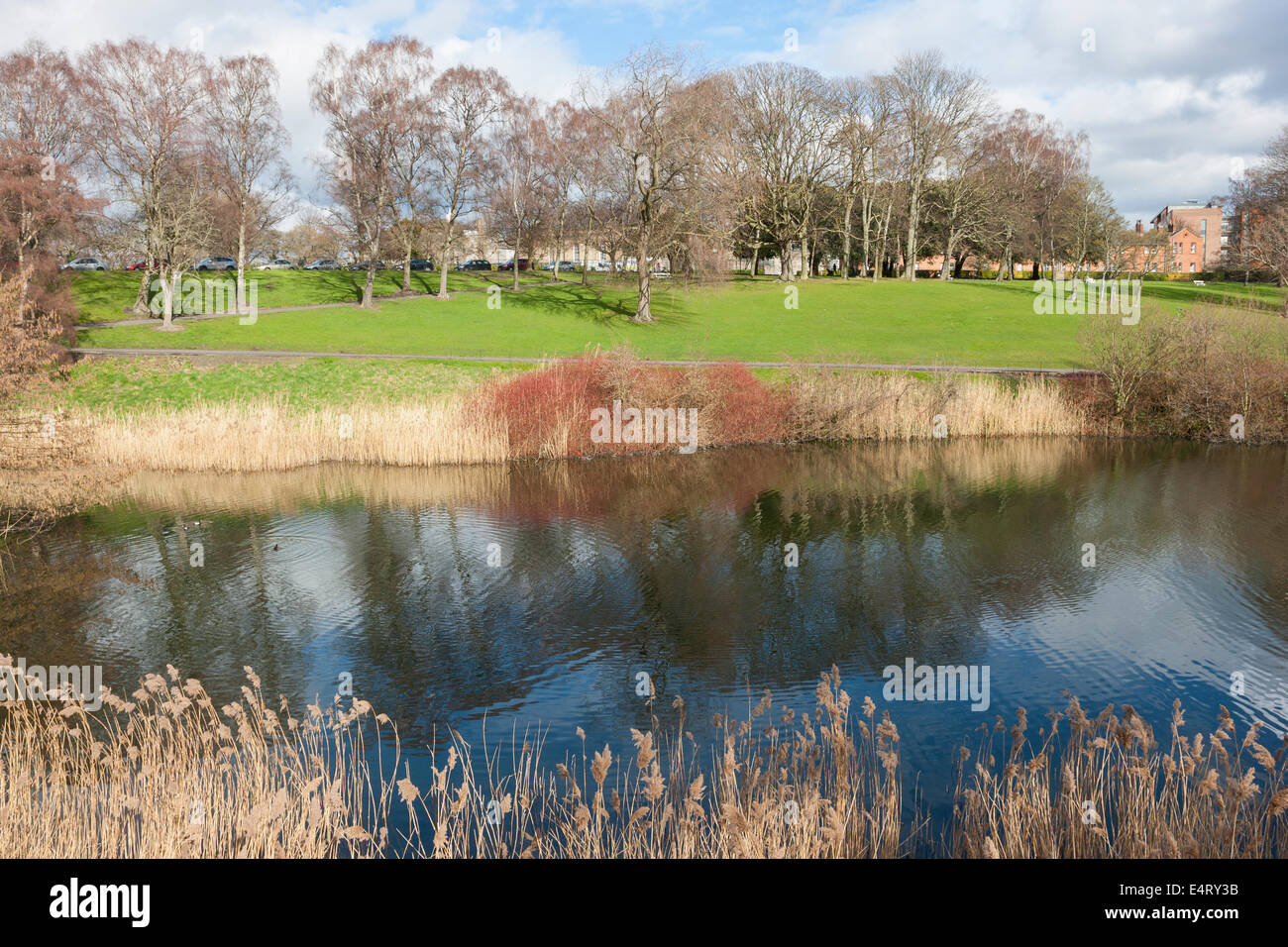 Phoenix water park hi-res stock photography and images - Alamy