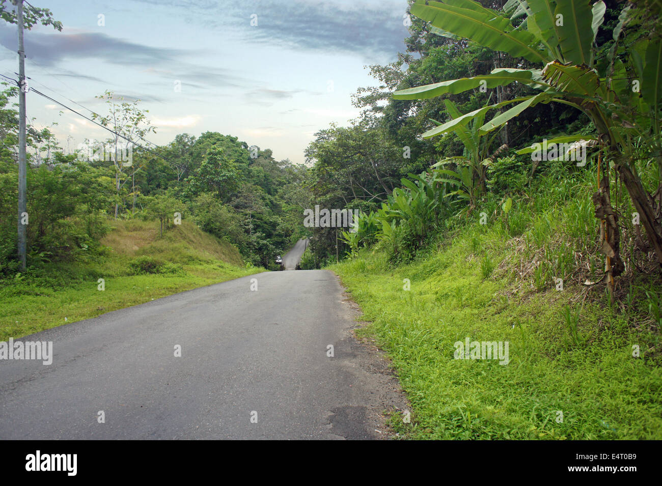 Impressions from sunny and green Costa Rica Stock Photo - Alamy