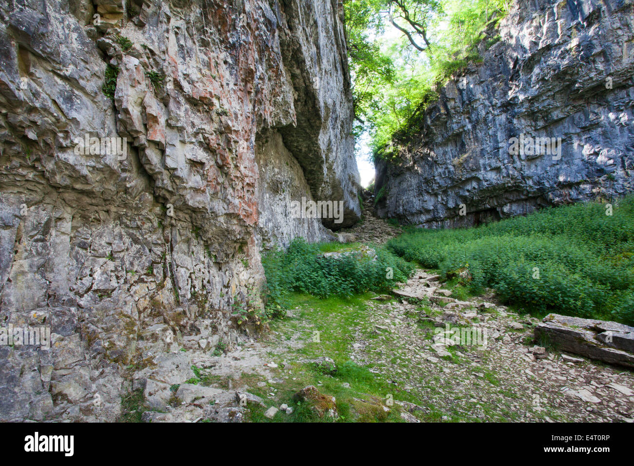 Trow Gill near Clapham in Summer Yorkshire Dales England Stock Photo ...