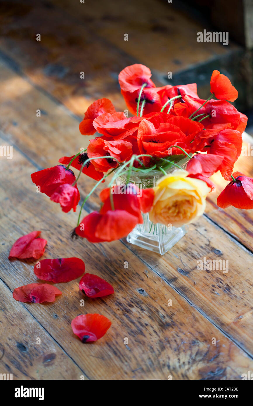 Bouquet of red poppies Stock Photo - Alamy
