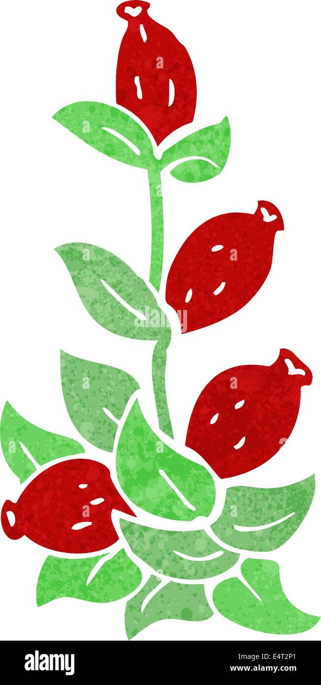 cartoon rosehip flowers Stock Vector Image & Art - Alamy