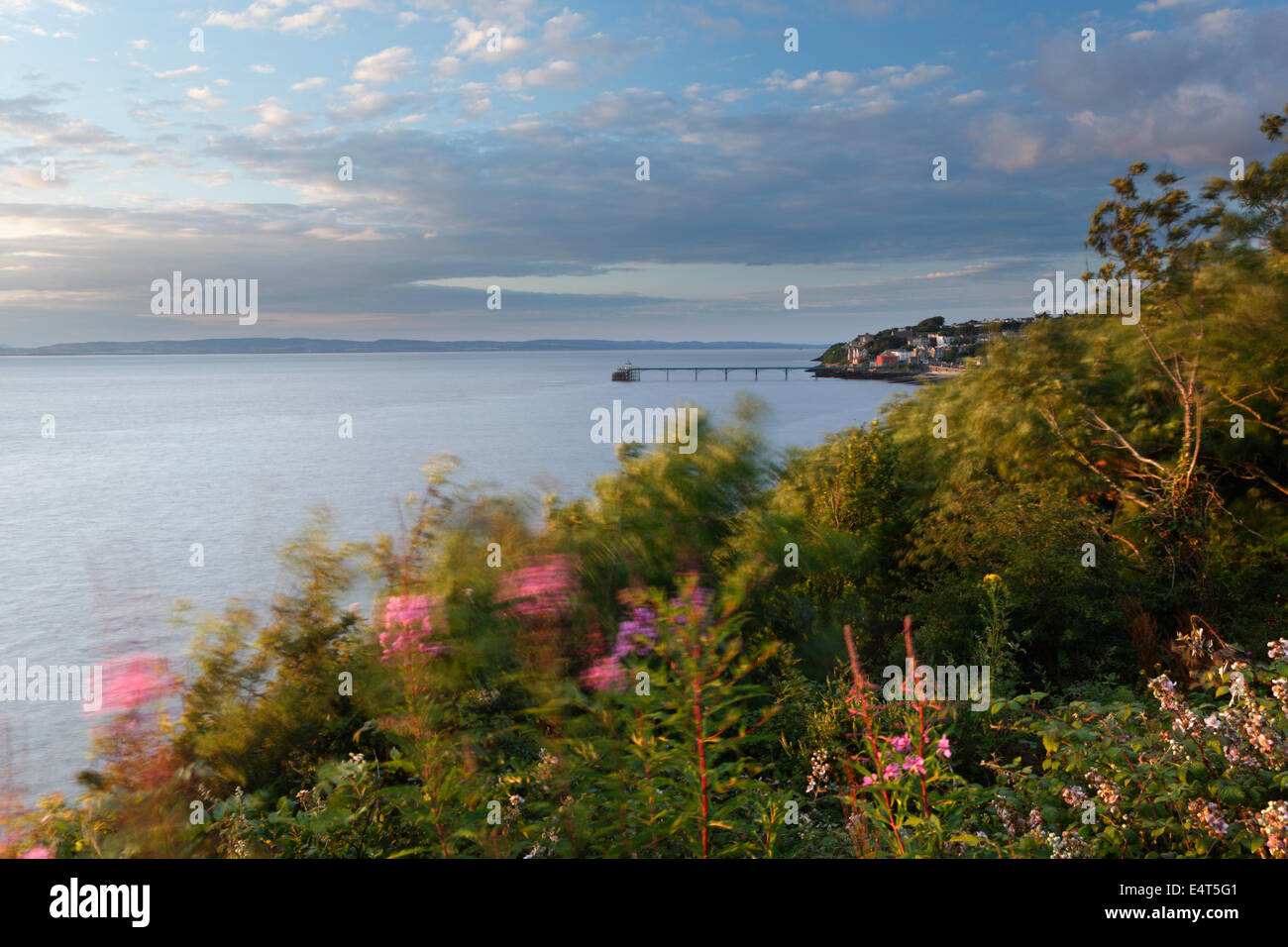 Clevedon view hi-res stock photography and images - Alamy
