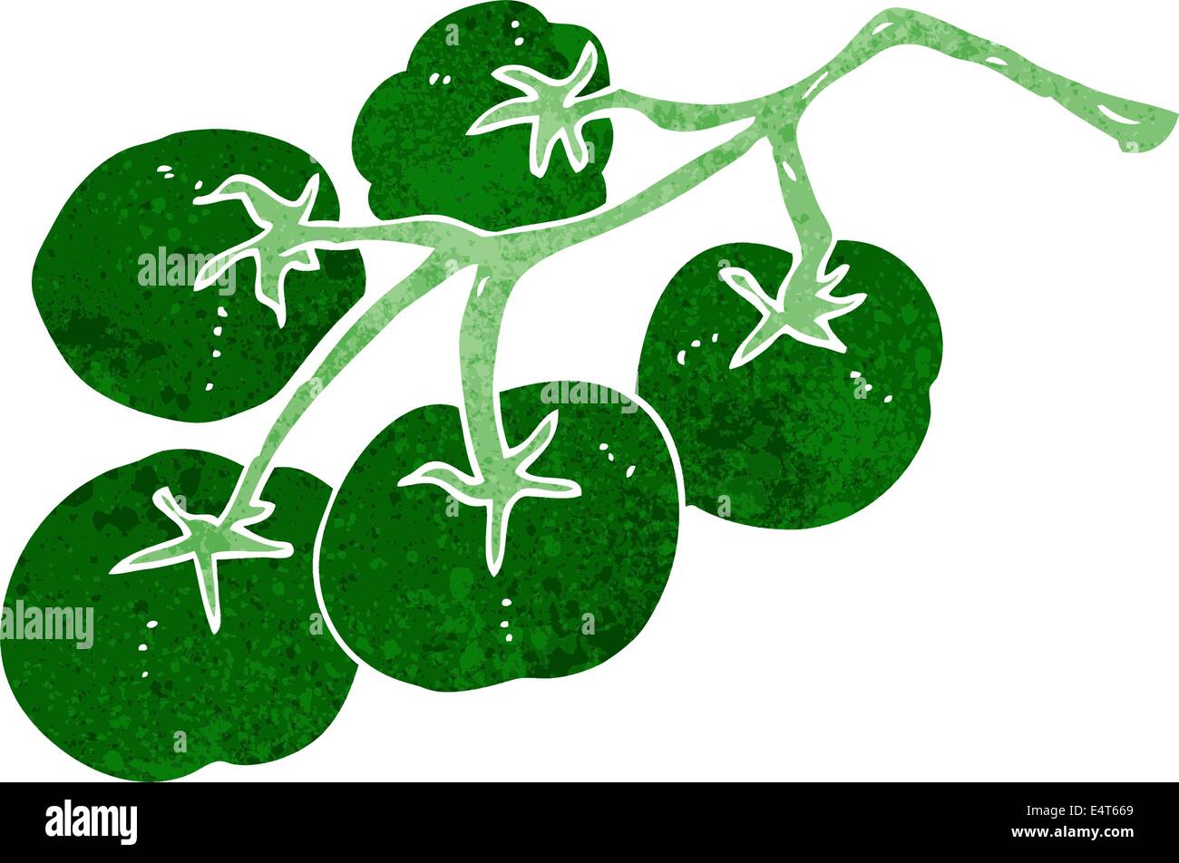 green tomatoes on vine illustration Stock Vector Image & Art - Alamy