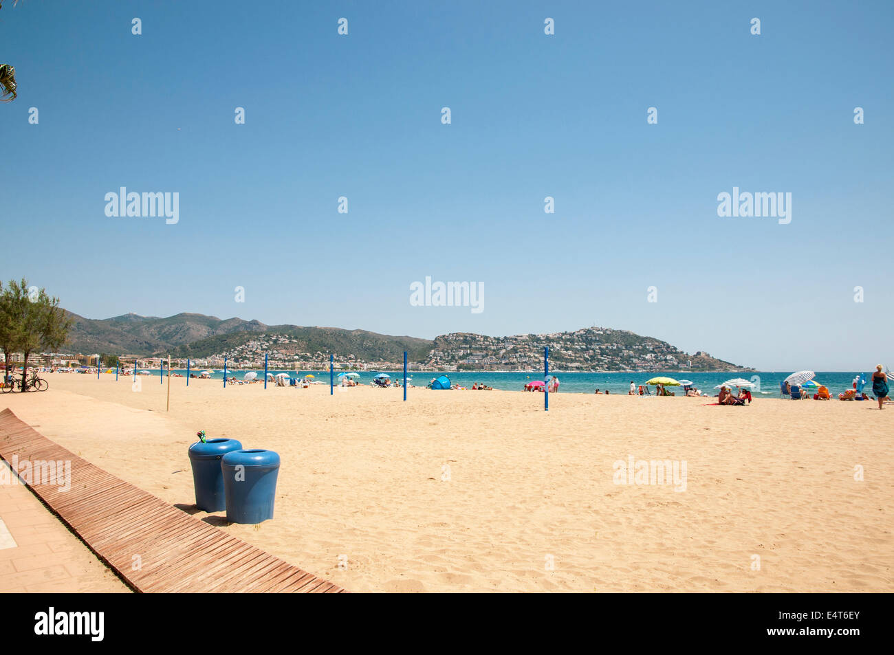 Beach Roses on the Costa Brava in Catalonia Stock Photo - Alamy