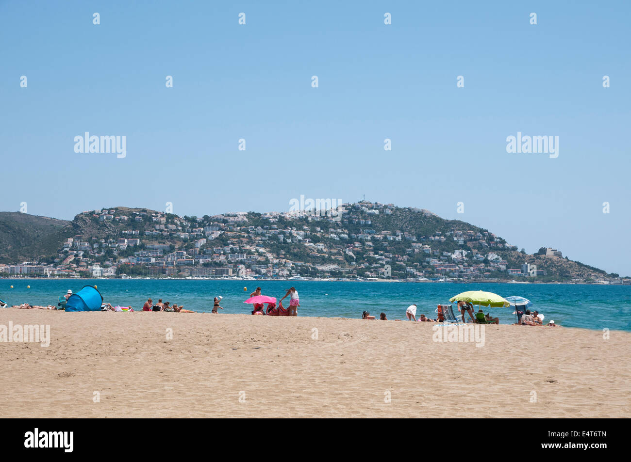 Beach Roses on the Costa Brava in Catalonia Stock Photo - Alamy