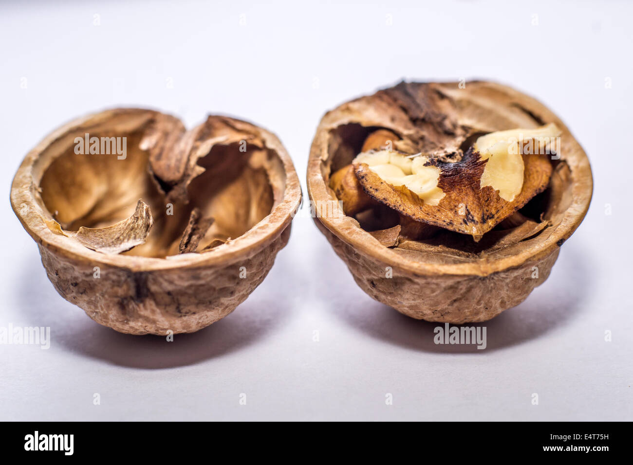 Close up nutmeat and nutshell with shallow depth of field Stock Photo ...