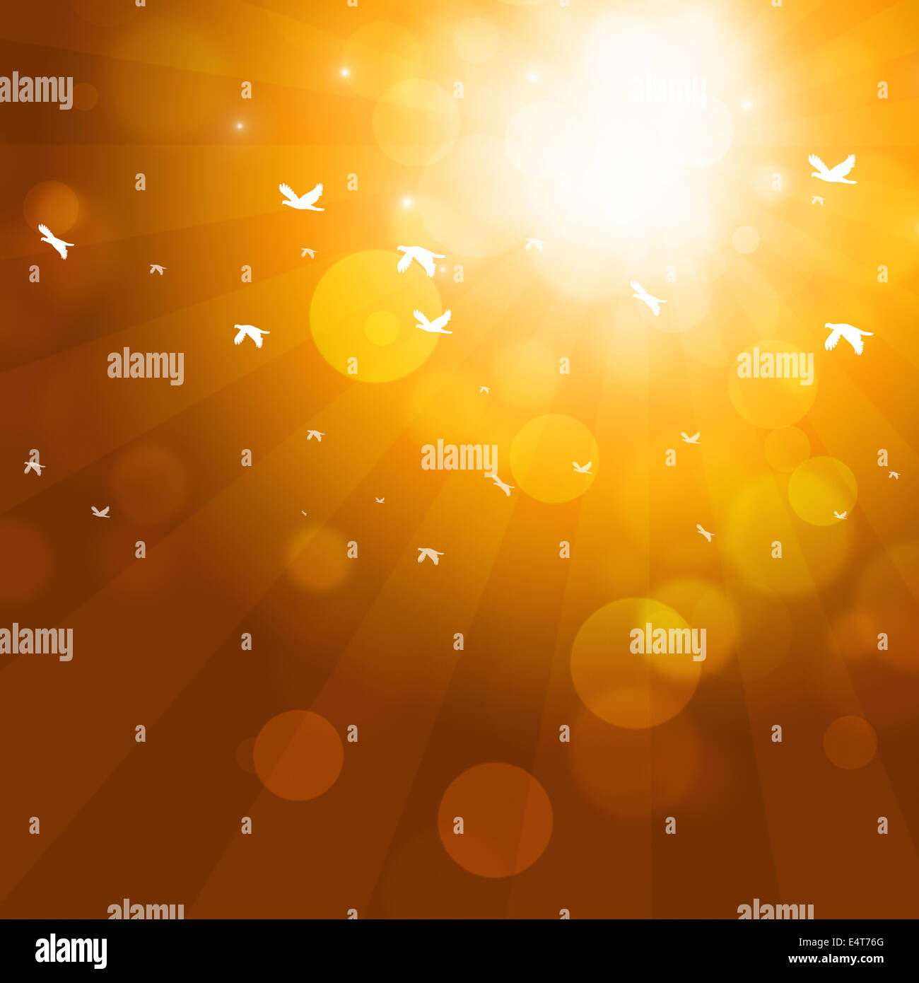 Abstract summer background hi-res stock photography and images - Alamy