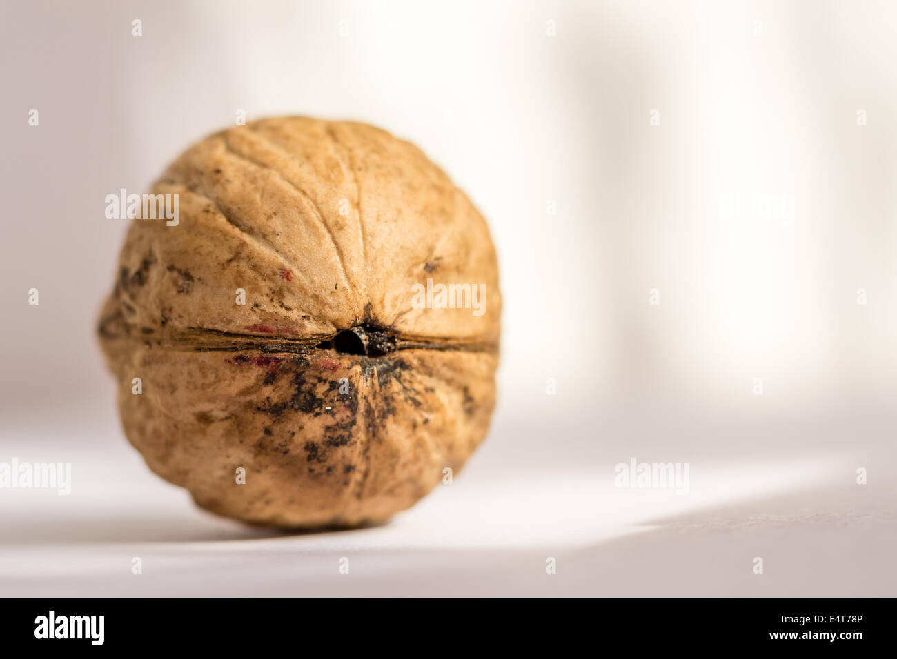 Close up nutmeat and nutshell with shallow depth of field Stock Photo ...