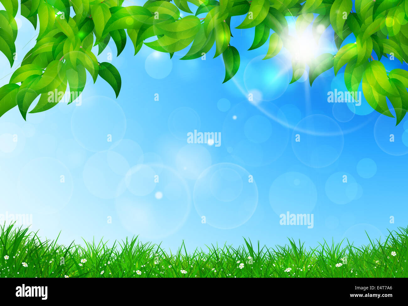 abstract sunny nature background with grass leaves and blurry lights ...