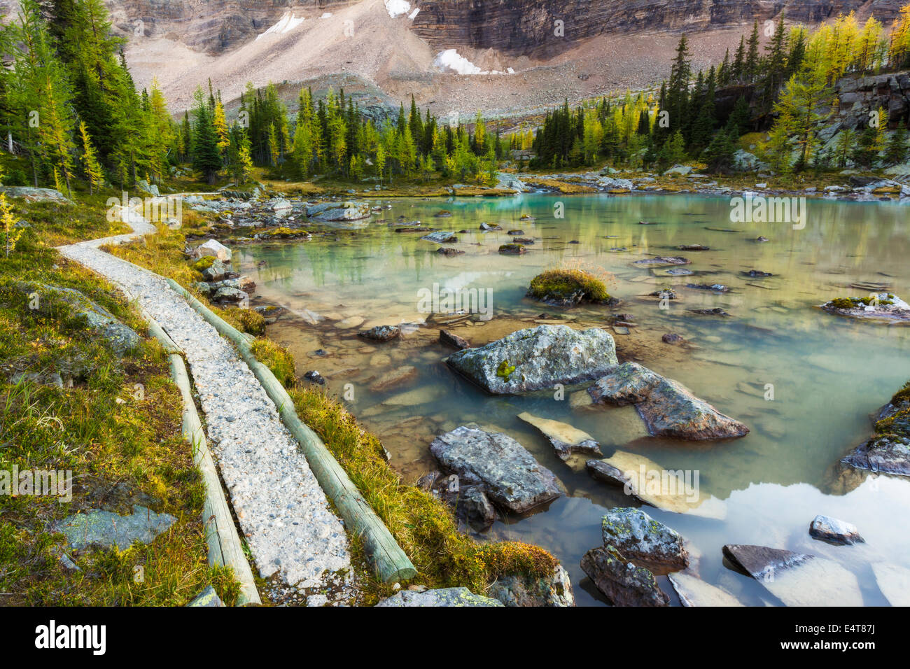 The Opabin Plateau trail above Lake O'hara, Yoho National Park, British ...