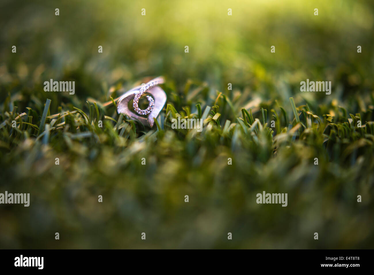 Heart, Love Ring and romance Stock Photo - Alamy