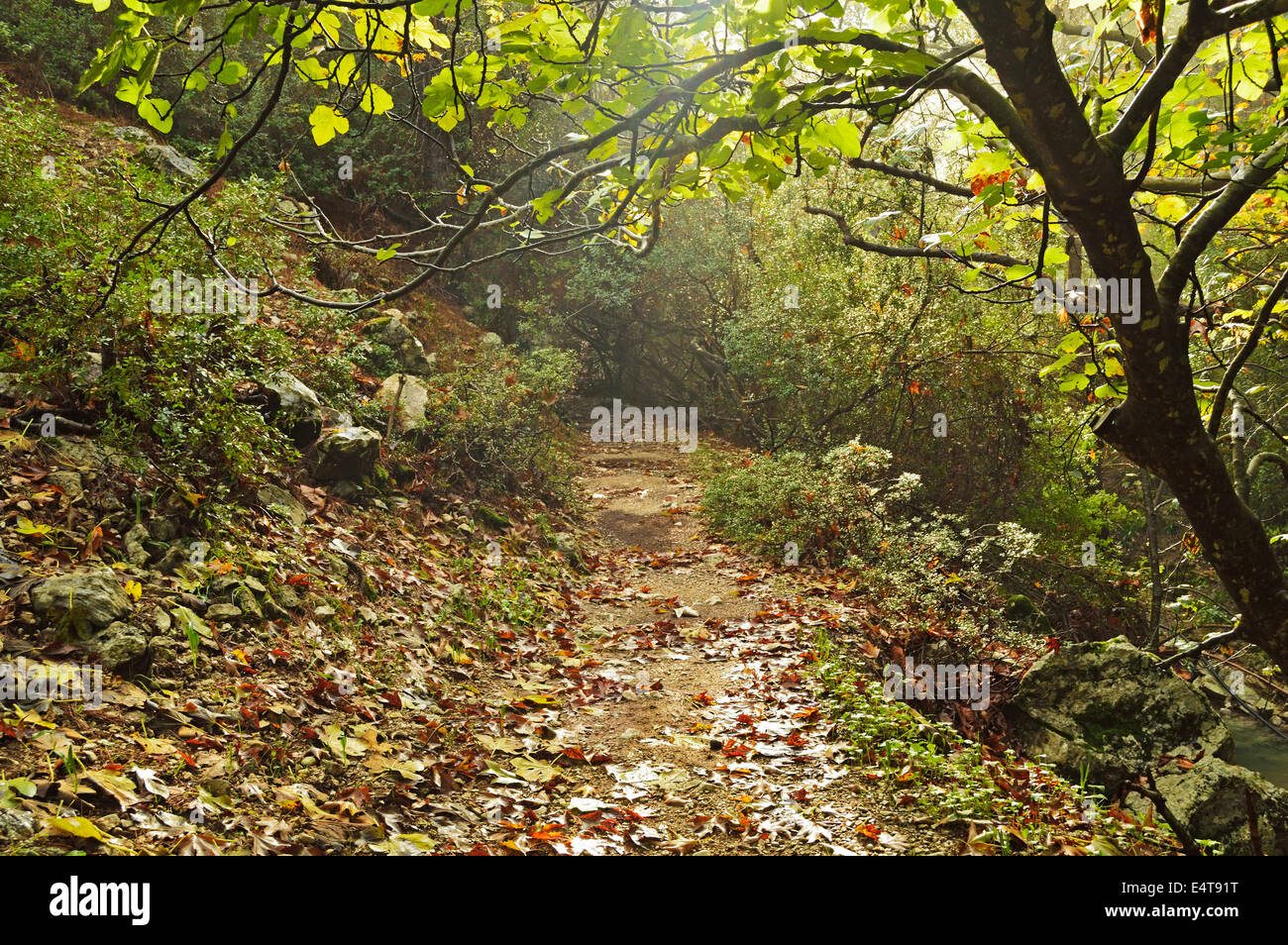 Path at Seven Springs (Epta Piges), Rhodes, Dodecanese, Aegean Sea ...