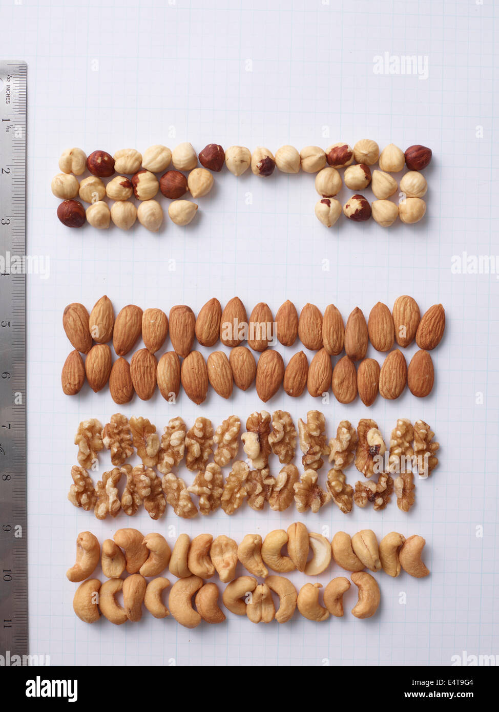 Overhead view of groups of various types of nuts along side ruler ...
