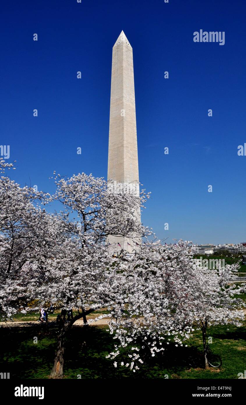 Washington, DC: The soaring 555 1/2 foot tall Washington Monument Stock ...