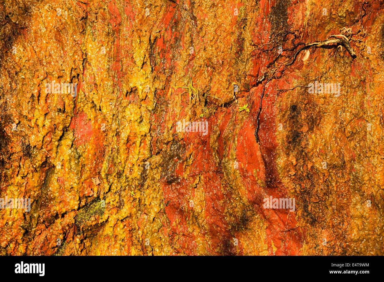 Background of natural wet orange stone wall texture rough rock surface ...