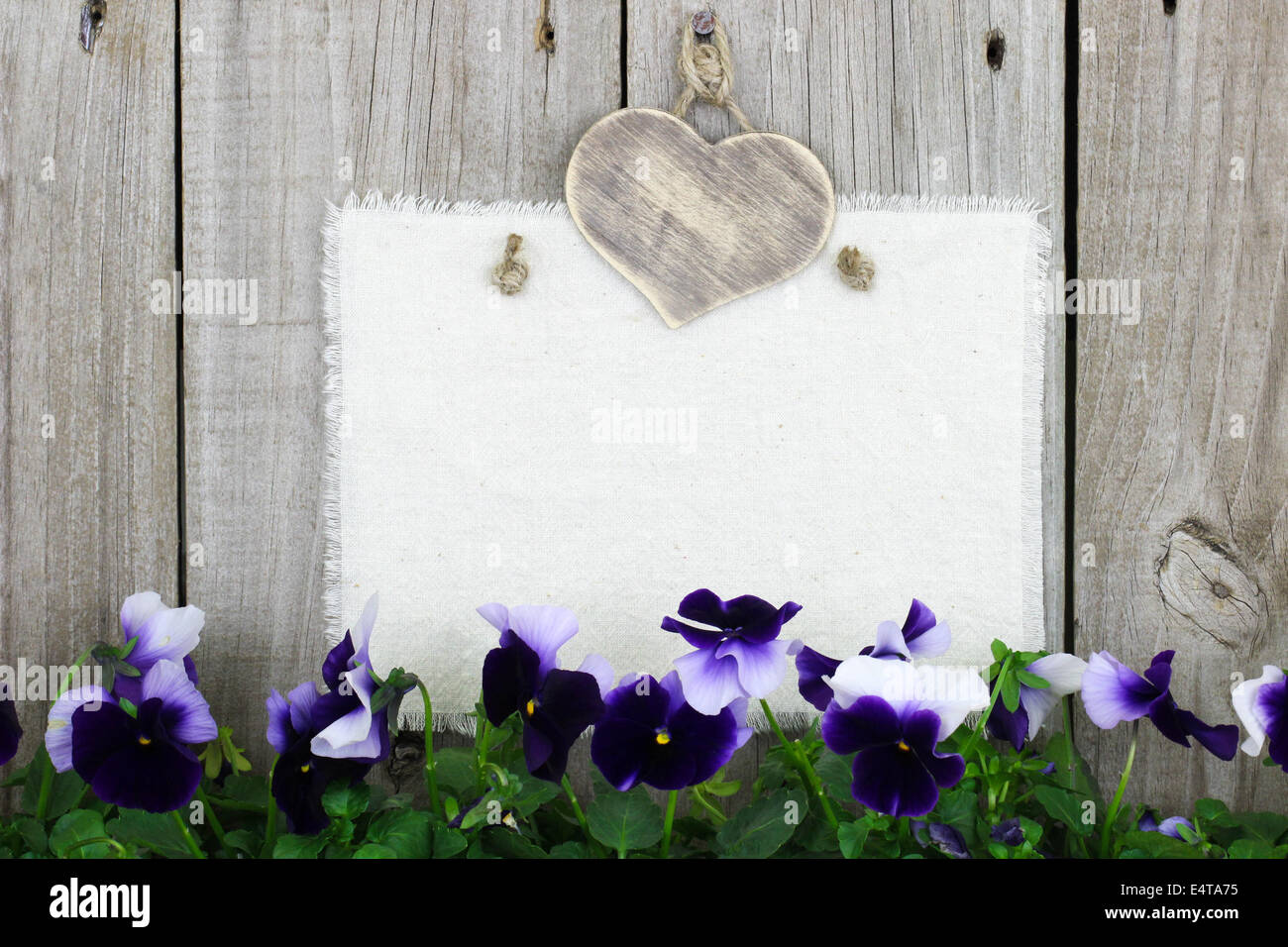 Blank muslin sign with wood heart and purple flowers (pansies) border ...