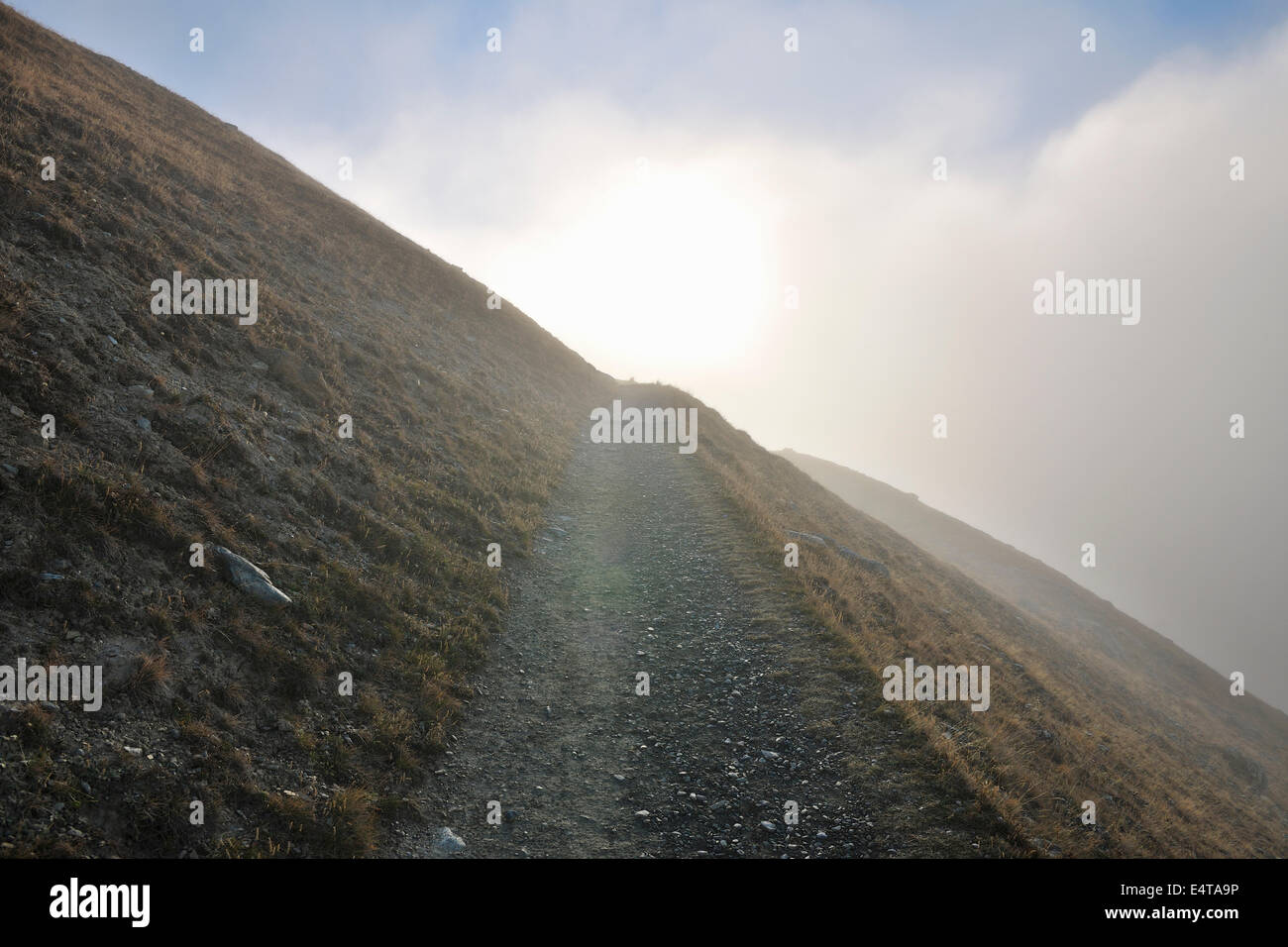 Mountain Path in Fog, Findeln, Zermatt, Alps, Valais, Switzerland Stock ...