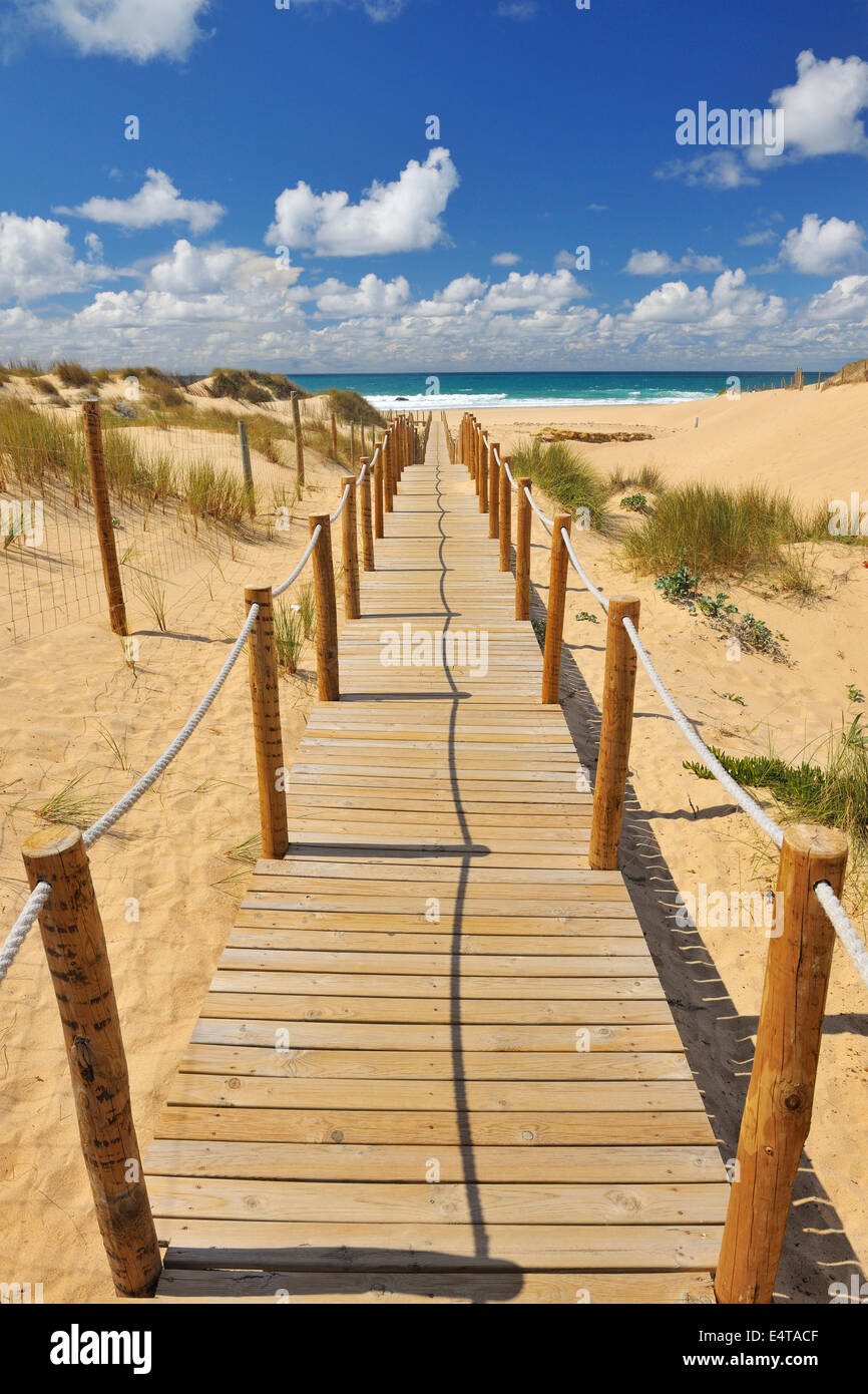 Boardwalk through tall grass hi-res stock photography and images - Alamy