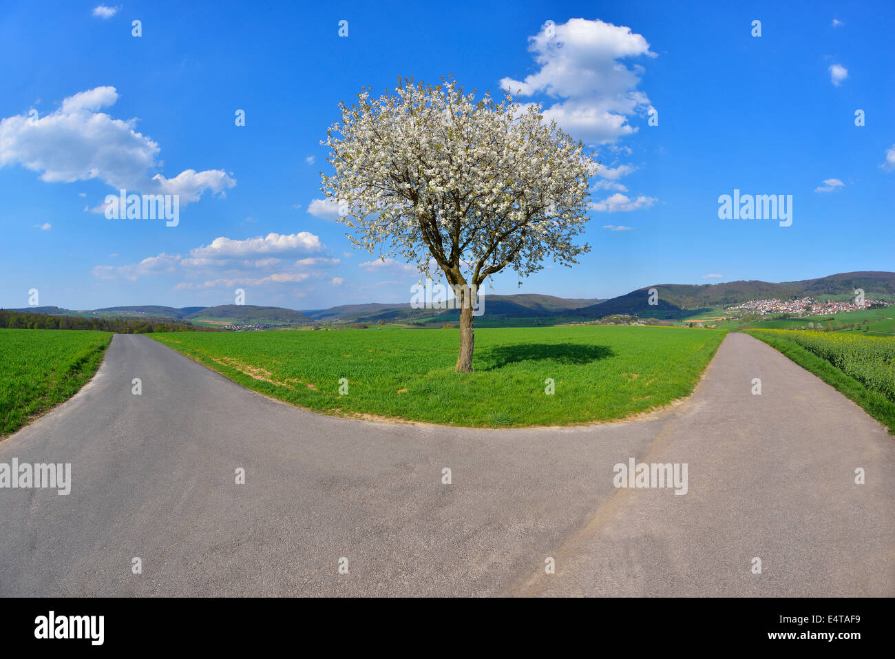 Person at fork in road hi-res stock photography and images - Alamy