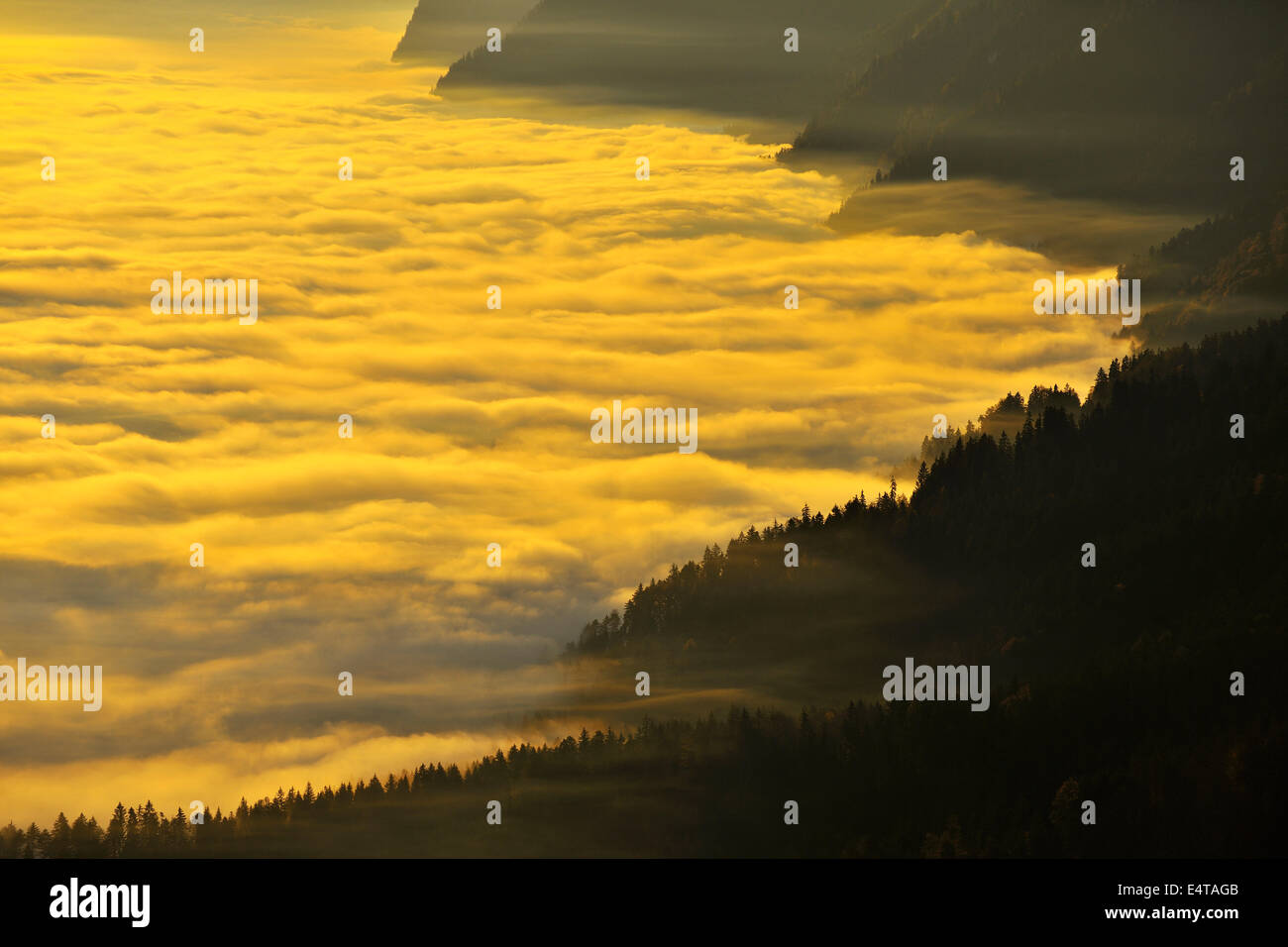 Dawn over Clouds in Mountains, Gurnigel, Alps, Berne, Switzerland Stock ...