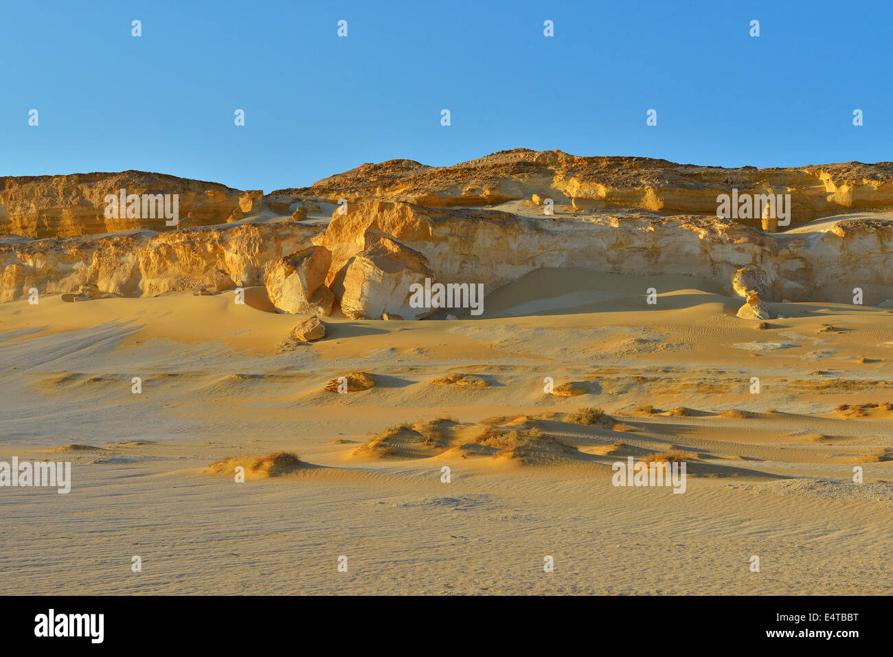 Desert Landscape, Matruh Governorate, Libyan Desert, Sahara Desert ...