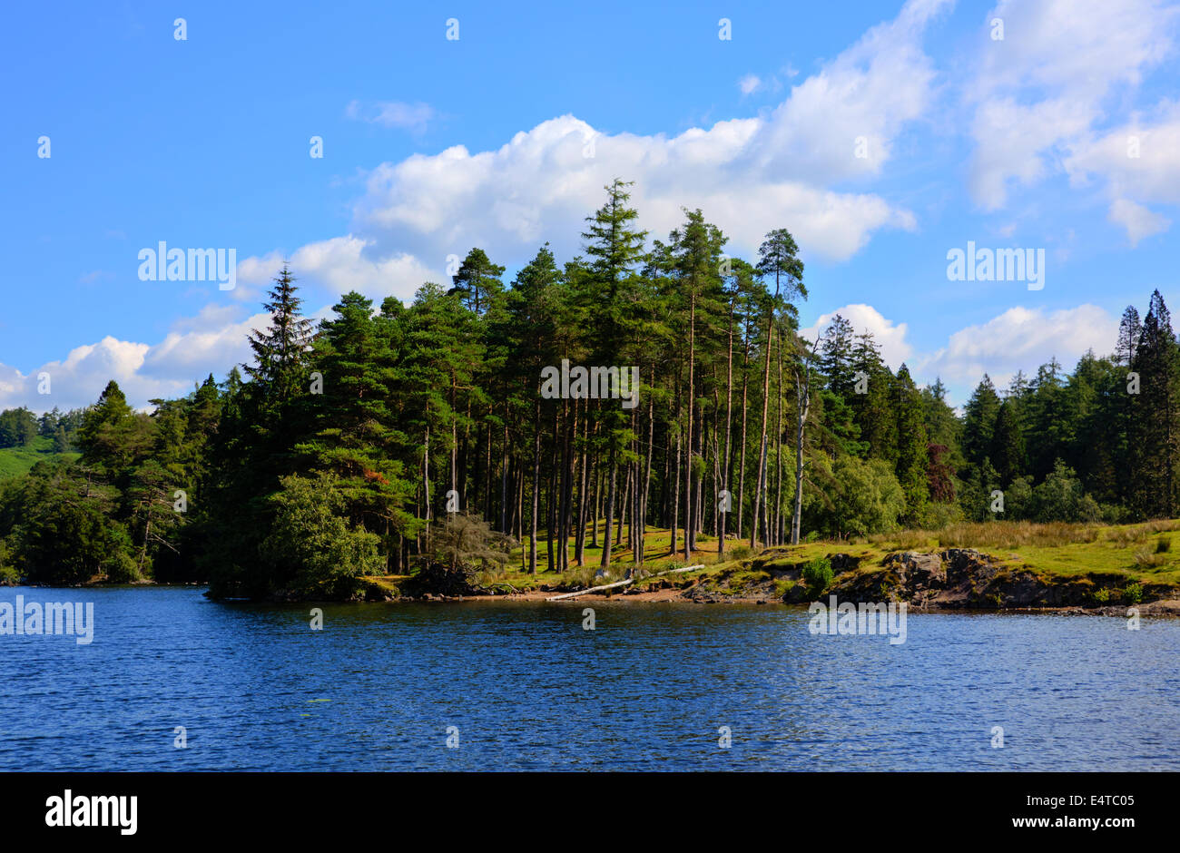 Tarn Hows near Hawkshead Lake District National Park England uk on a ...