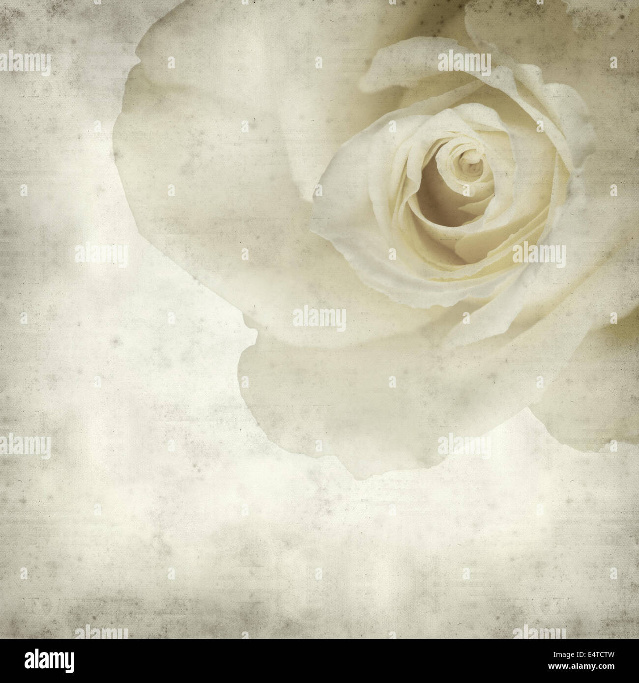 textured old paper background with pale yellow rose Stock Photo - Alamy
