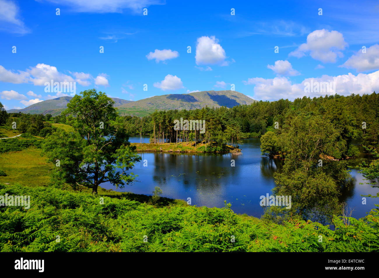 Tarn Hows near Hawkshead Lake District National Park England uk on a ...