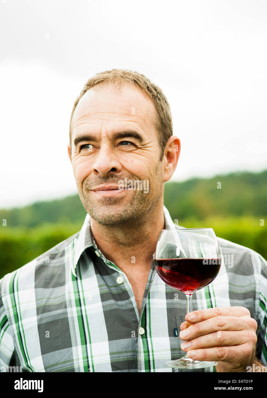 Portrait of vintner standing in vineyard, holding glass of wine ...