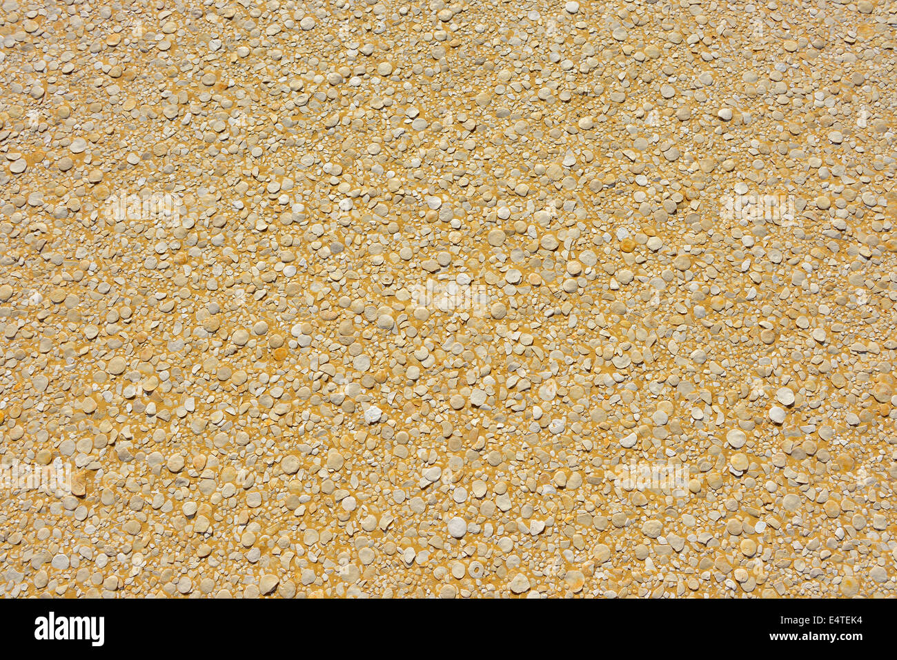 Compacted Rock on Desert Floor, Matruh, Libyan Desert, Sahara Desert ...