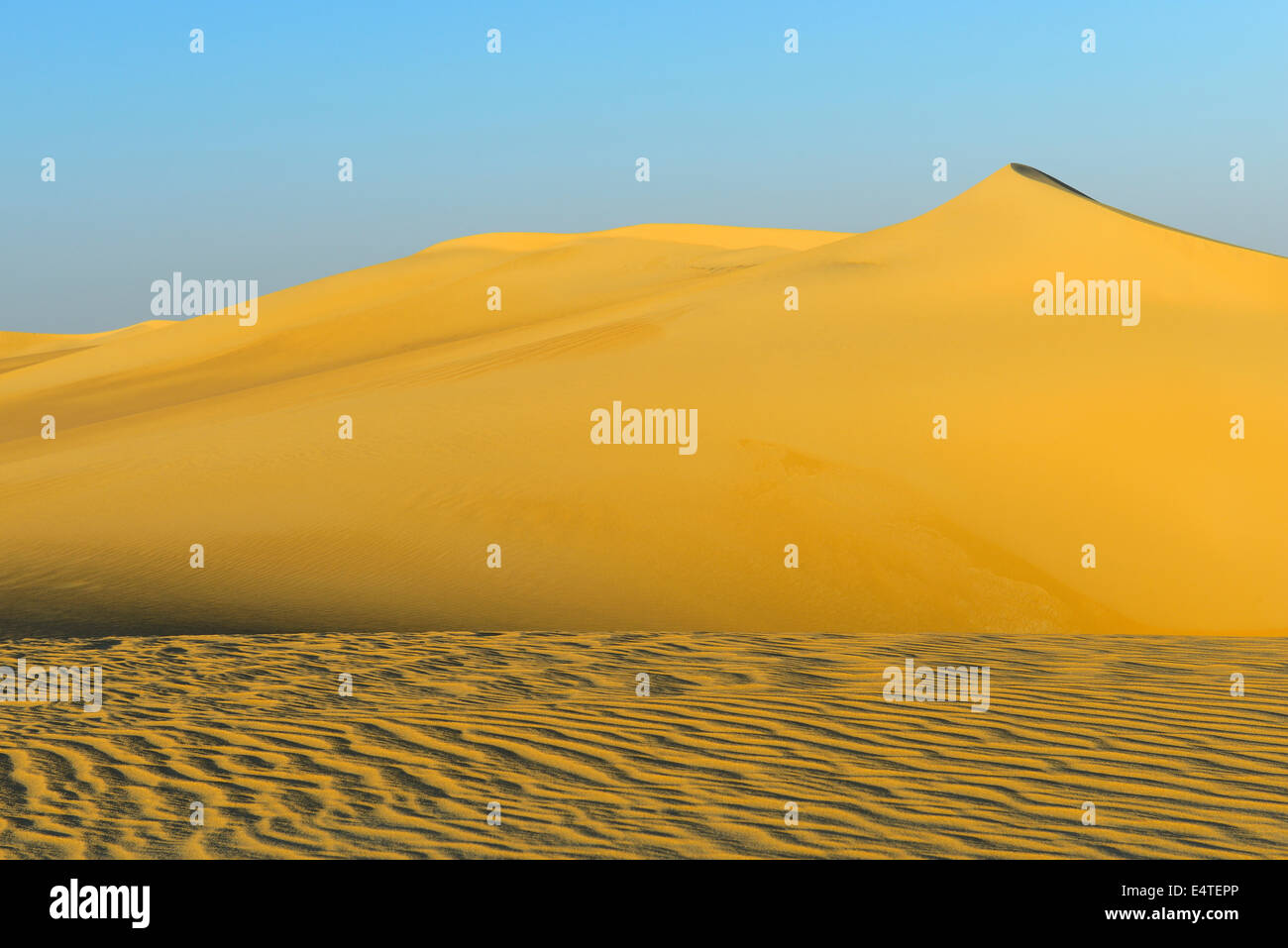 Scenic view of Sand Dunes, Matruh, Great Sand Sea, Libyan Desert ...