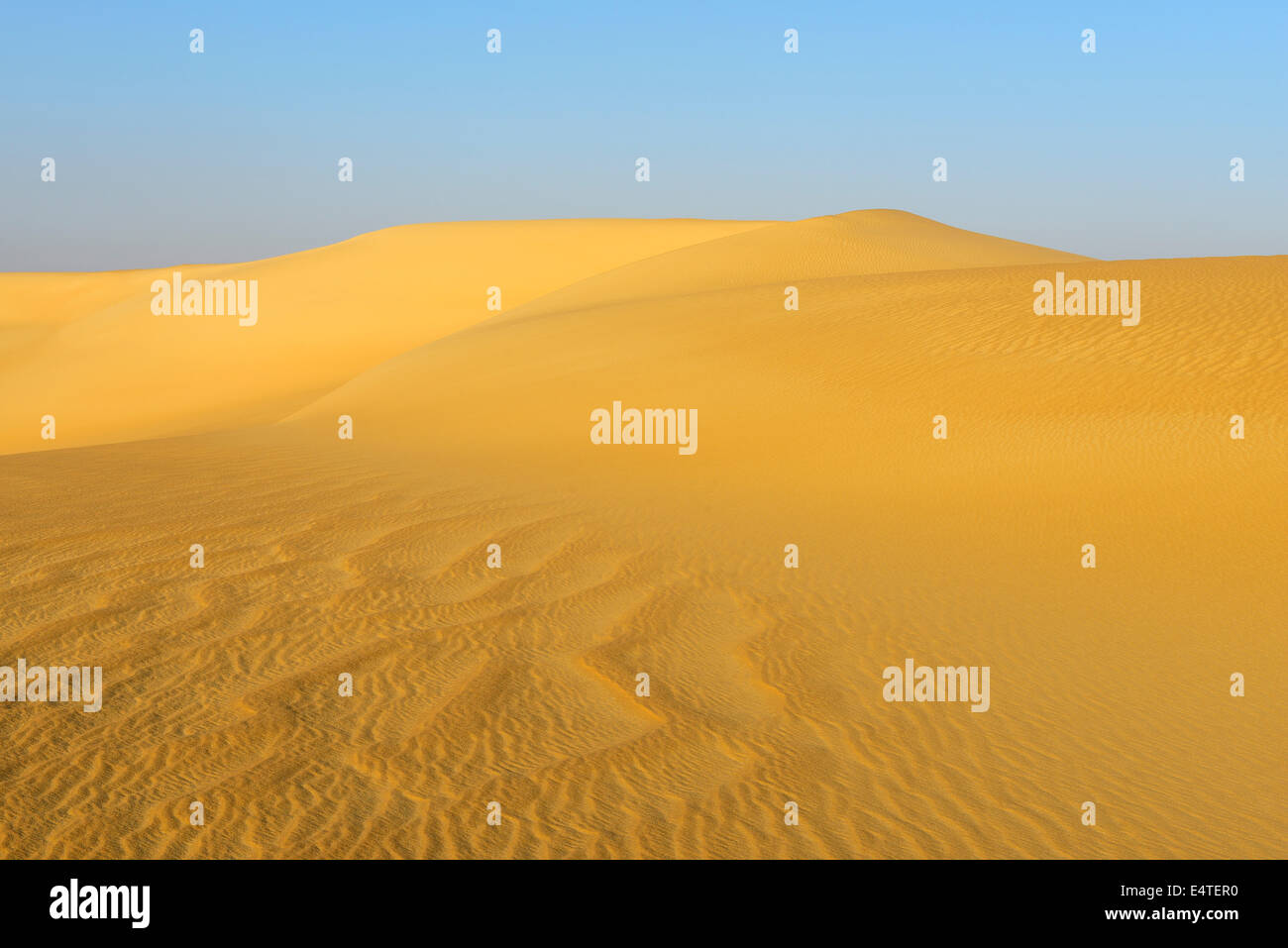 Overview of Sand Dunes, Matruh, Great Sand Sea, Libyan Desert, Sahara ...