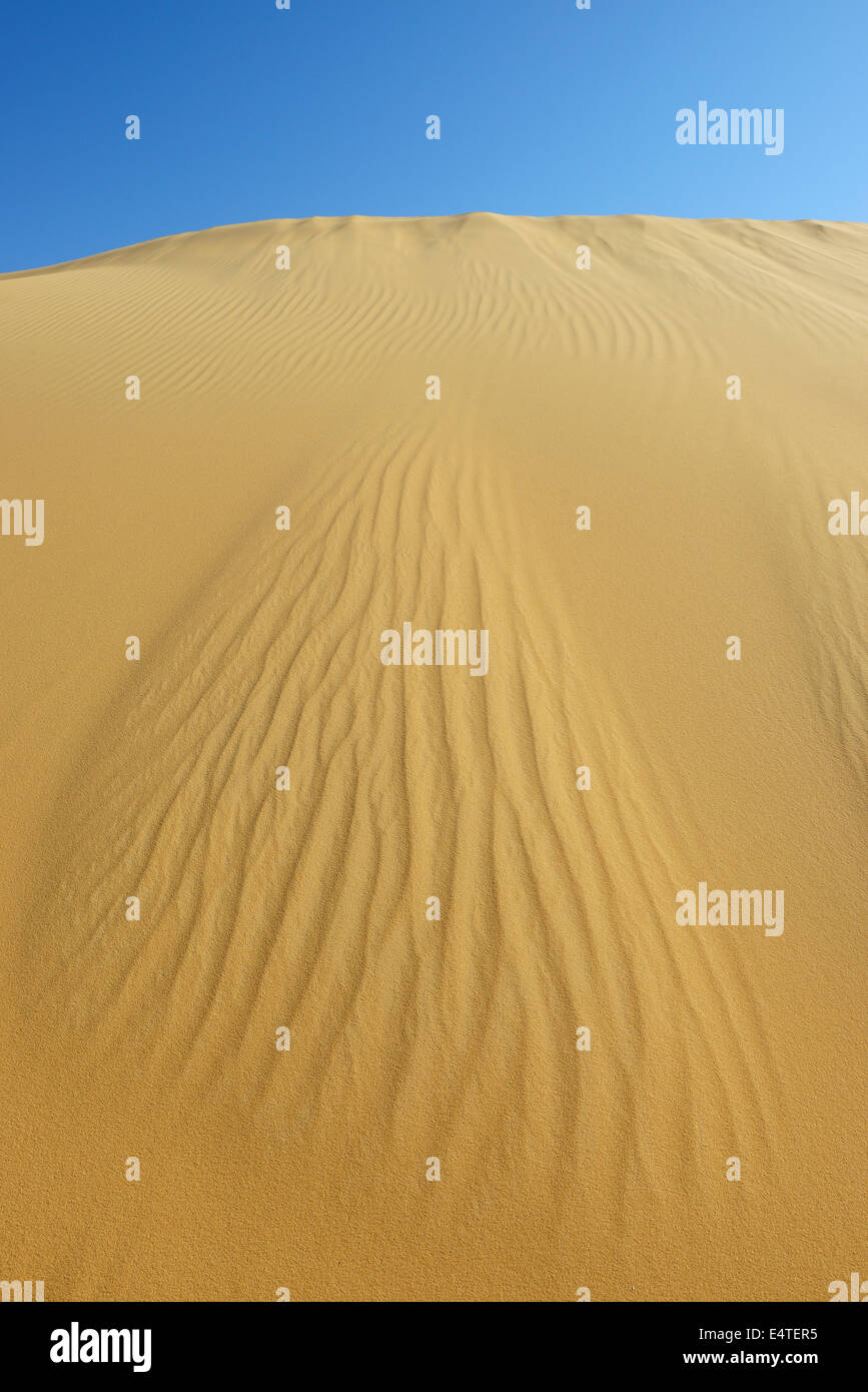 Sand Dune and Blue Sky, Matruh, Great Sand Sea, Libyan Desert, Sahara ...