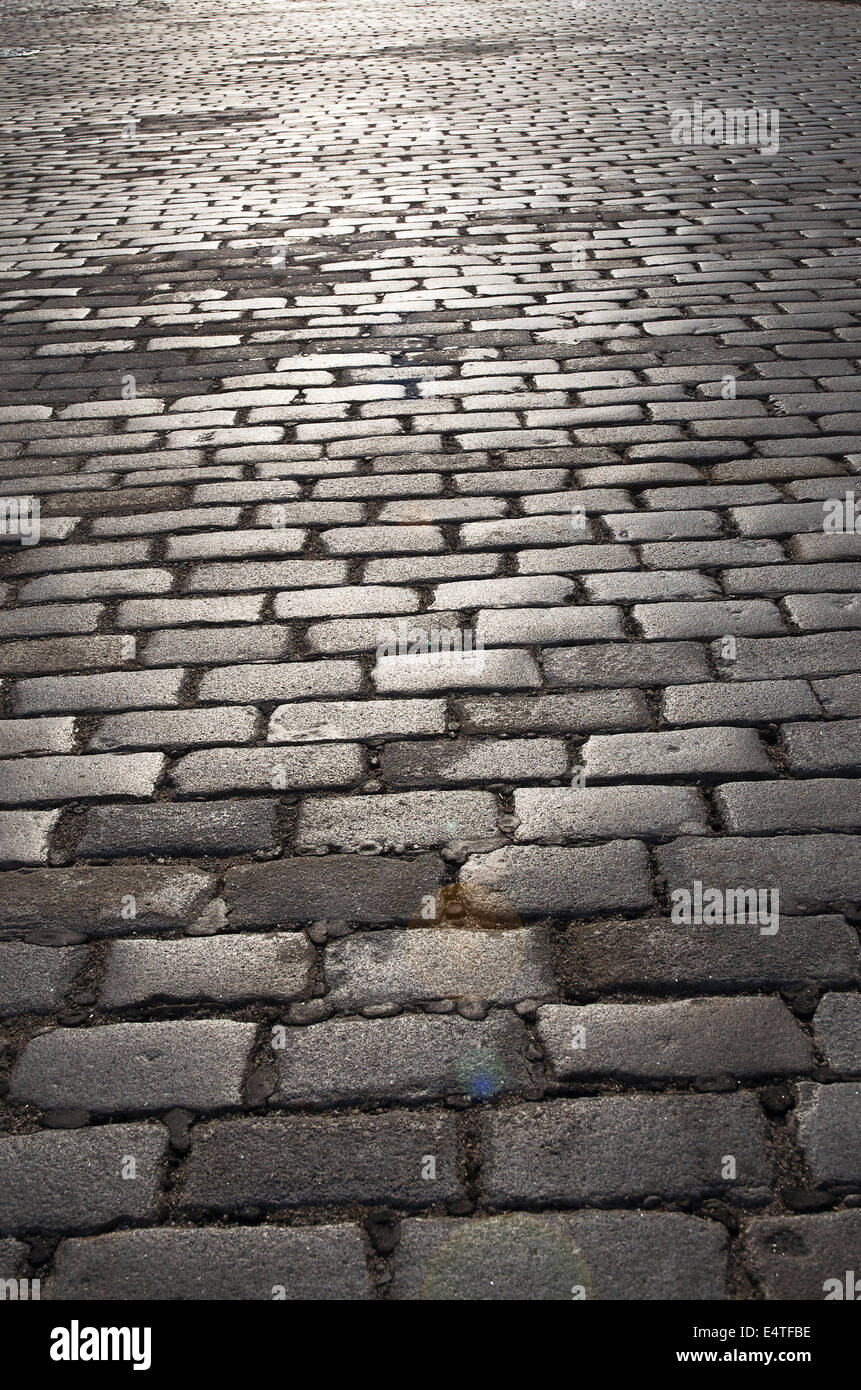 Cobblestone Street near Ellis Island, New York City, New York, USA ...