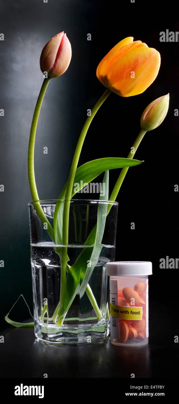 Close-up of water glass with tulips and bottle of pills, medication ...
